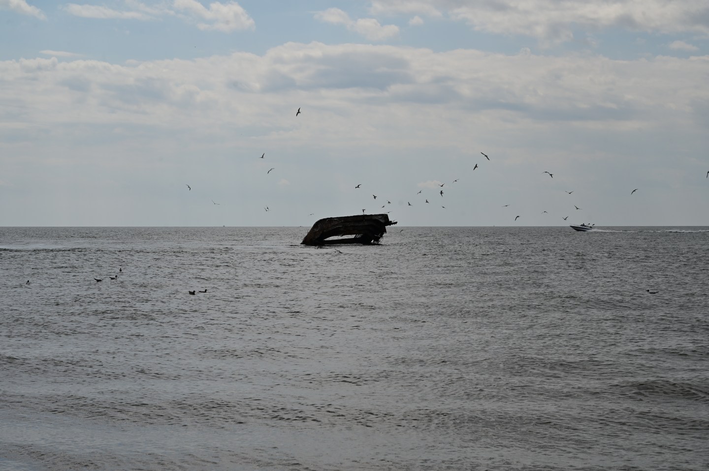The Wreckage of the SS Atlantus in Cape May, NJ 08204 – New Jersey ...